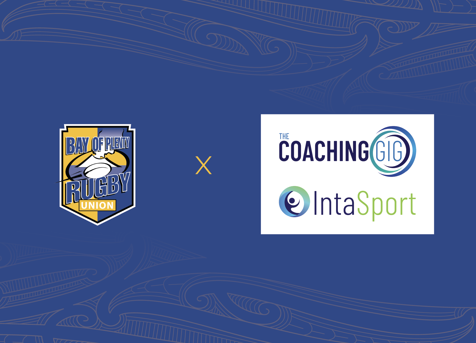 Bay of Plenty Rugby Announces partnership with The Coaching Gig and ...