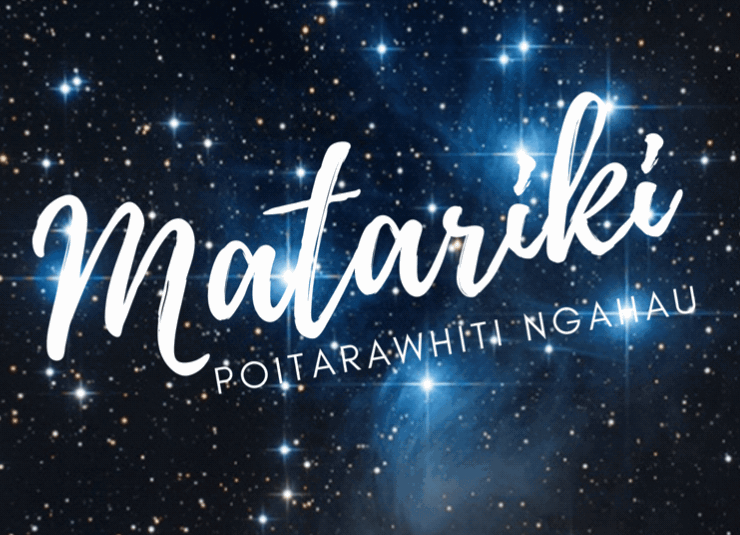 Matariki Netball Festival
