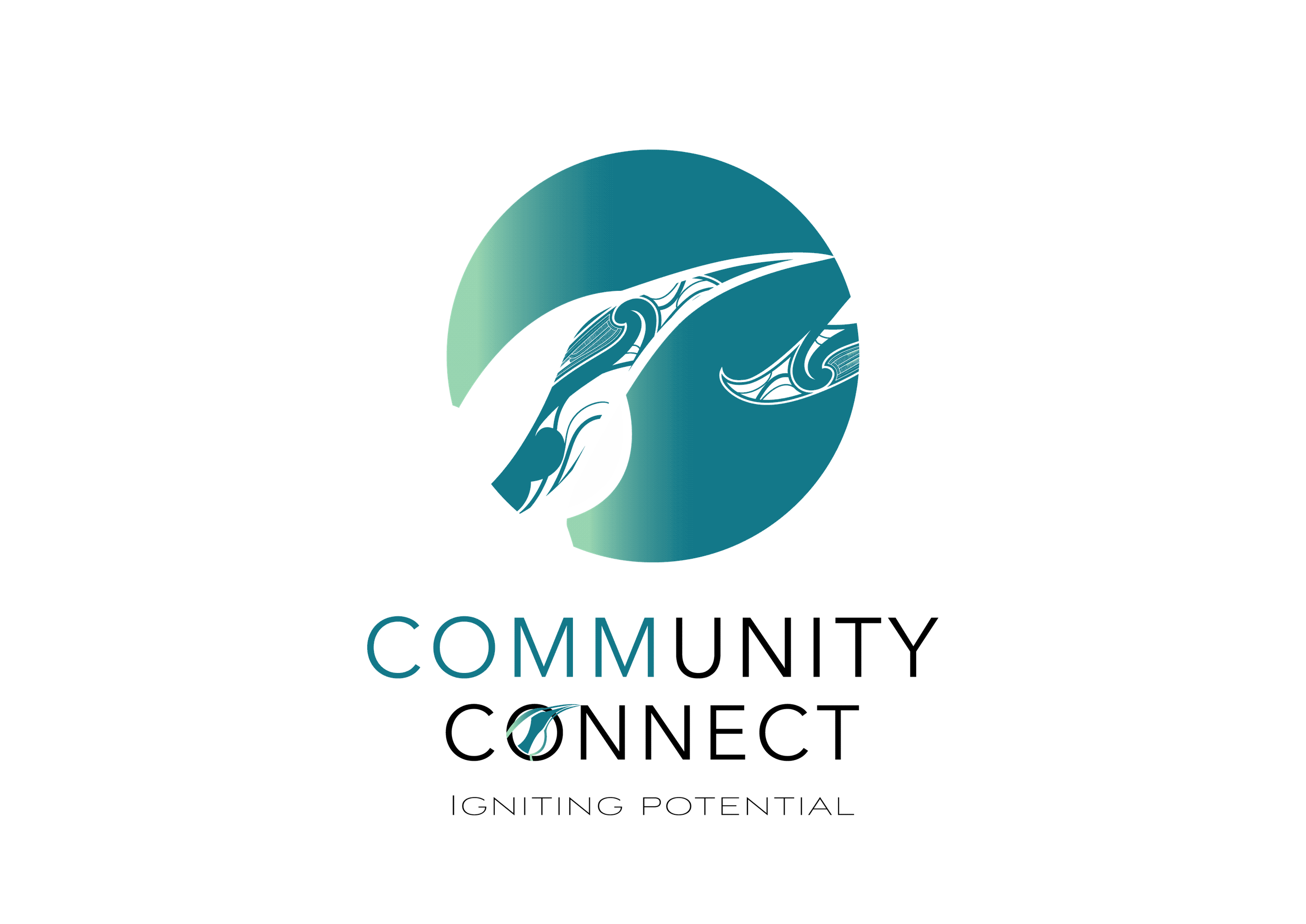 Seeking Community Connect Team Leader - Auckland