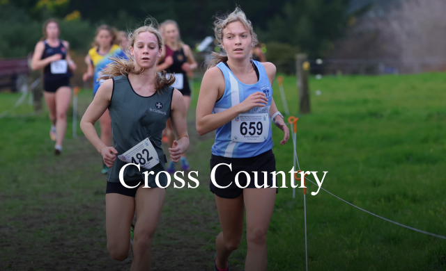 Villa Maria College - Home