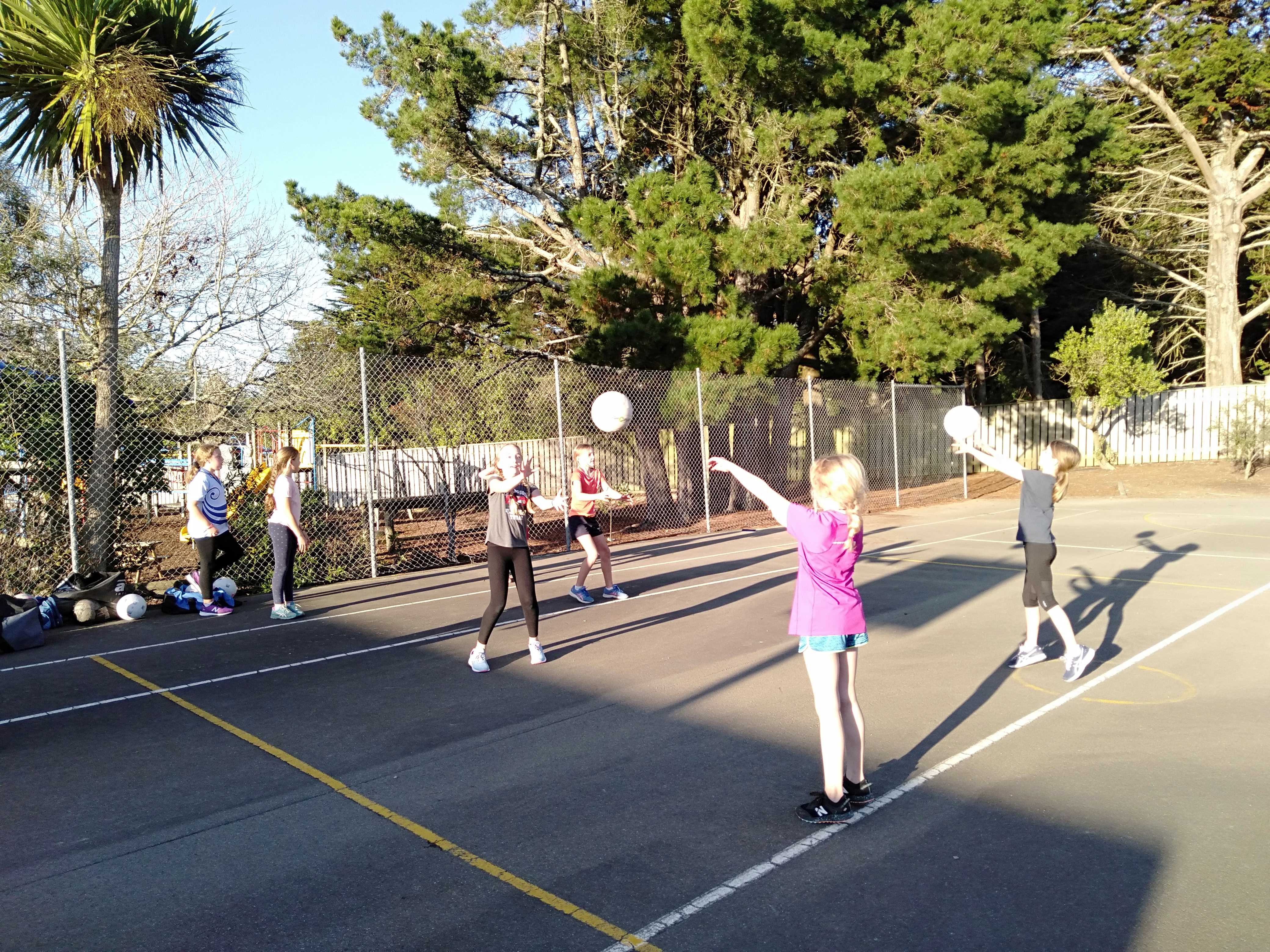 Turitea School - Home