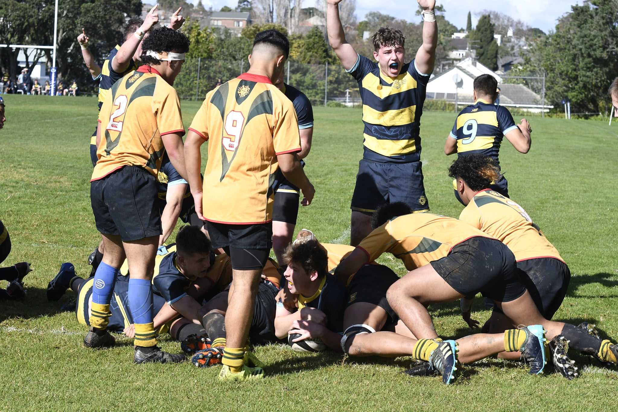 Rugby - TGS Rugby