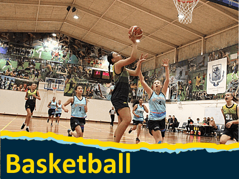 Takapuna Grammar School - Sports