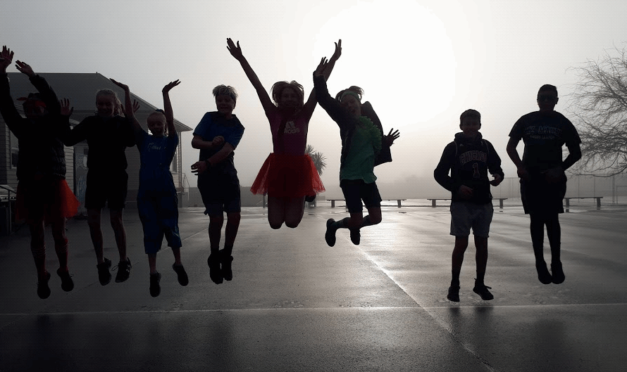 Nelson Intermediate - Home