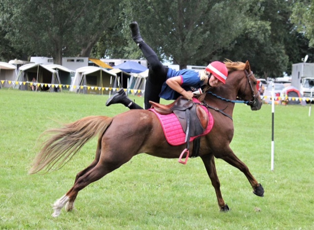 Napier Girls' High School - Sport Information/Registration