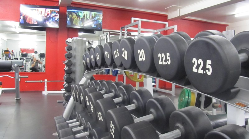 Hamilton Girls' High School - Information