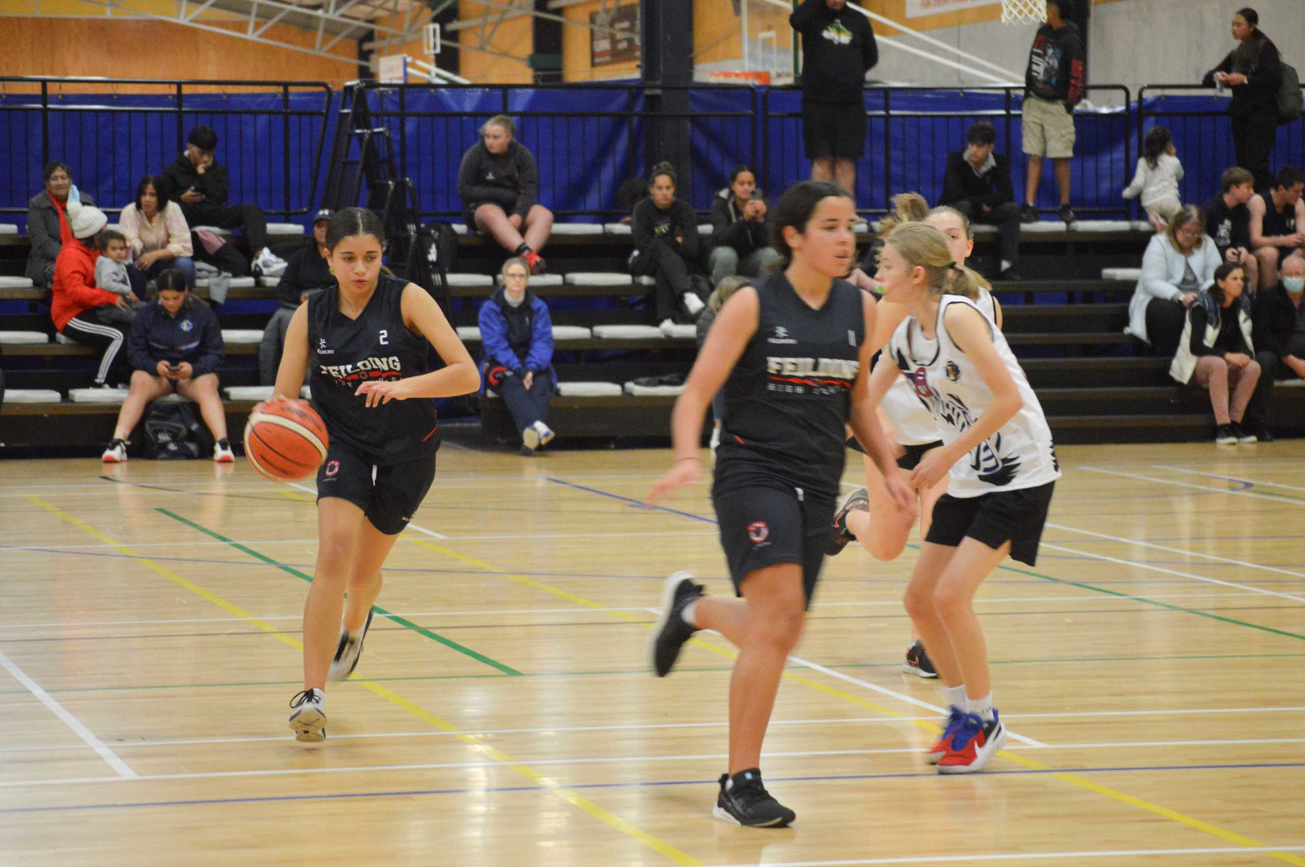 Feilding High School - Basketball