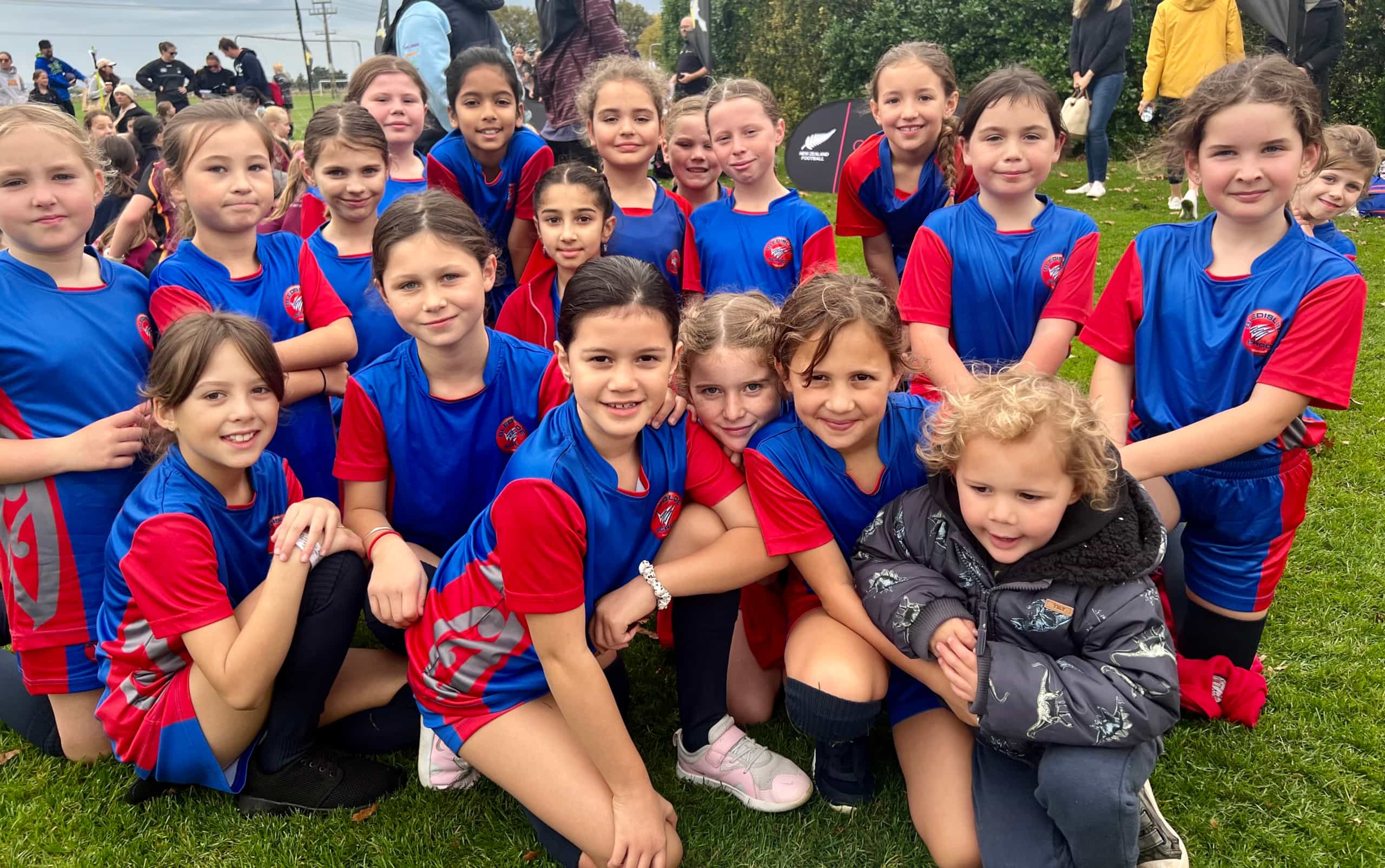 Bledisloe School - Sport Draws & Info