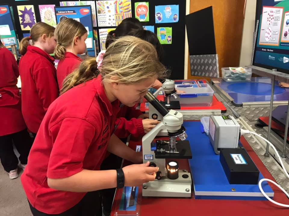 Te Mata School - Home