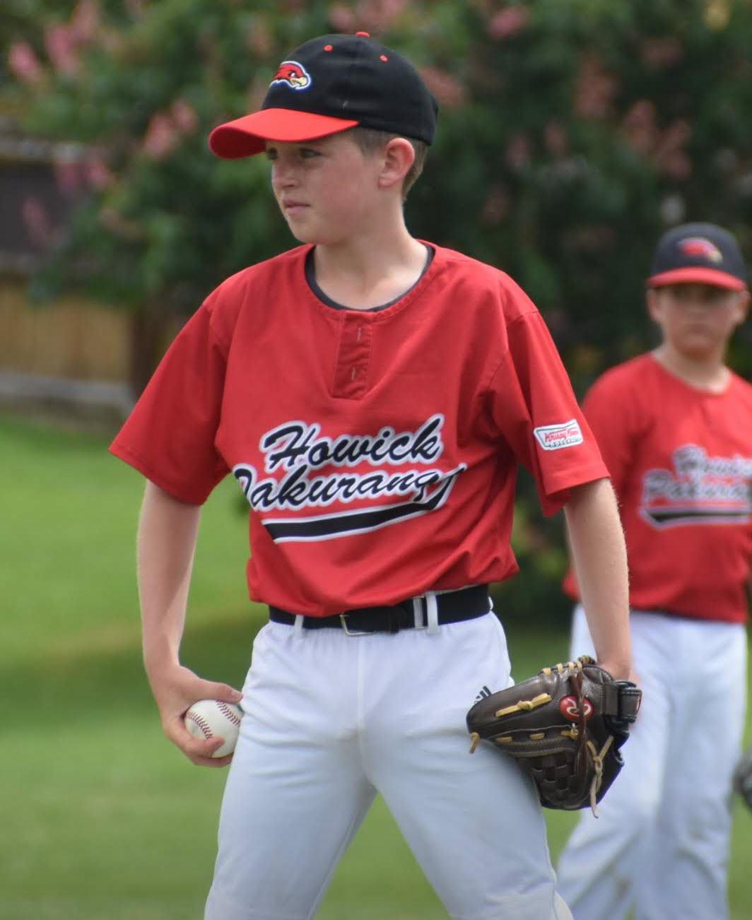 HP Hawks Baseball Club - Home