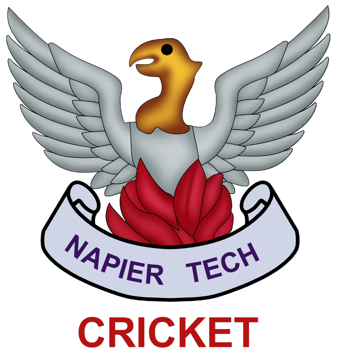 Napier Tech Old Boys Cricket Club - Home