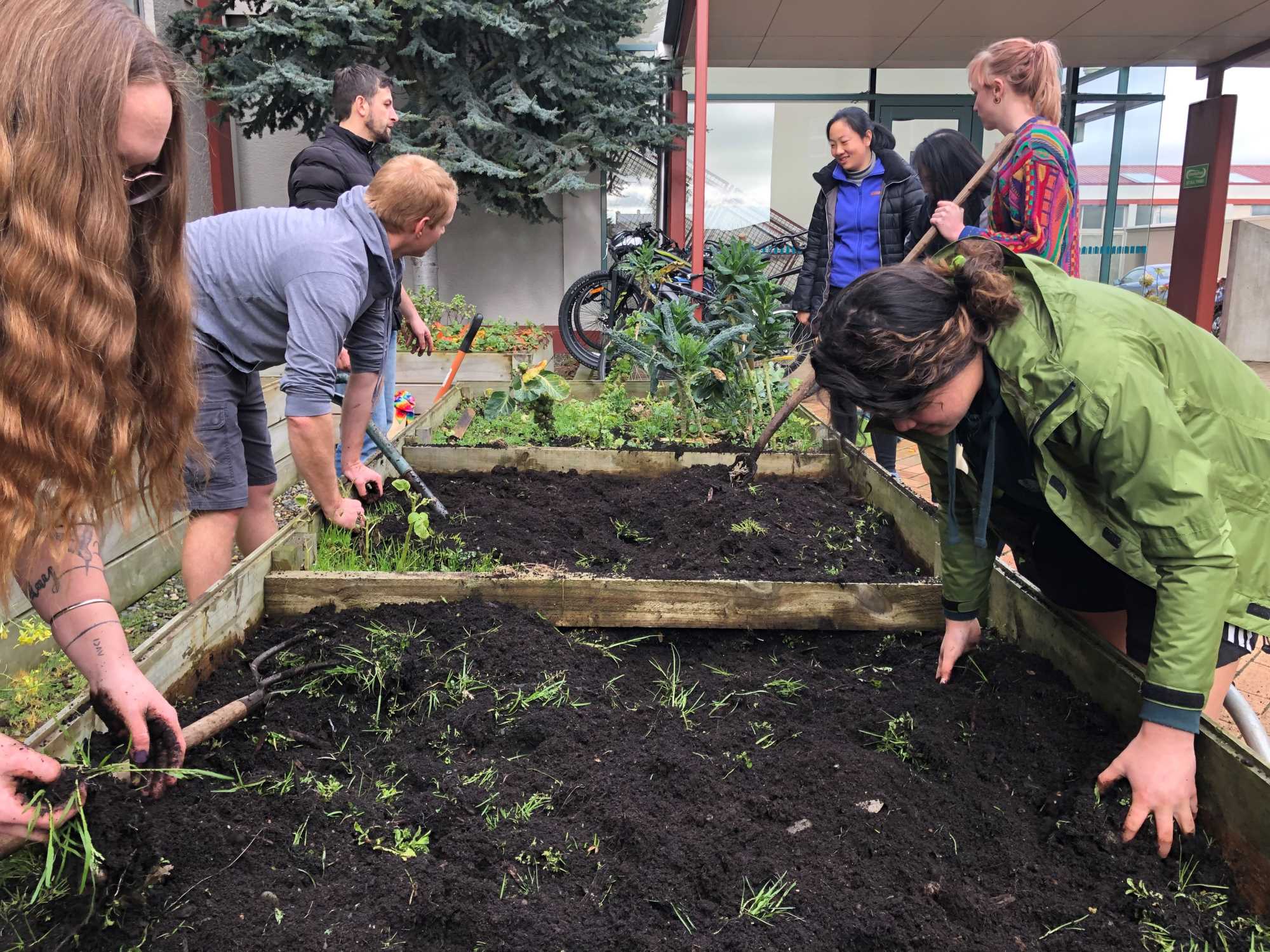 Joining forces on community gardens to help build food security