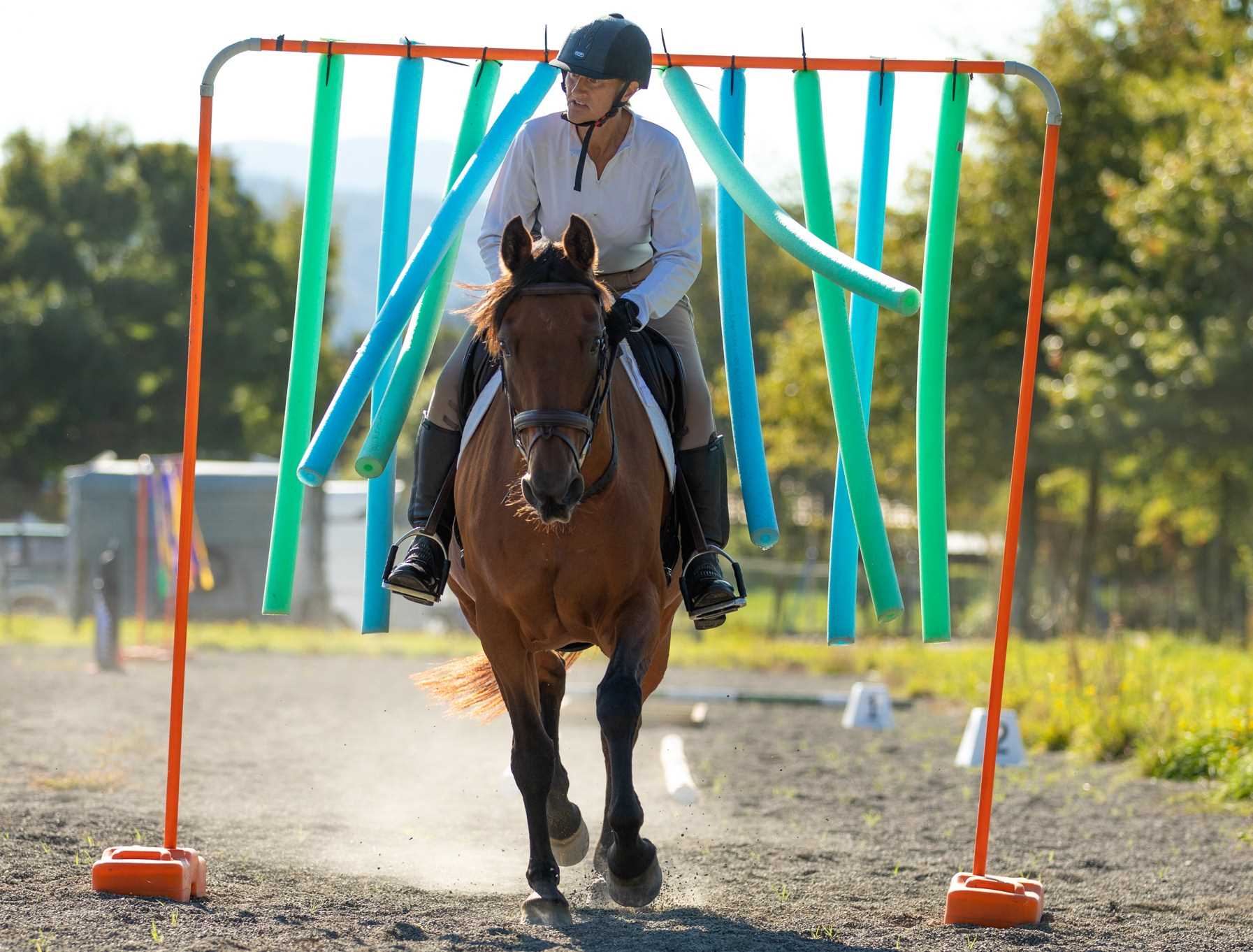 Le TREC NZ Wellington - Calendar