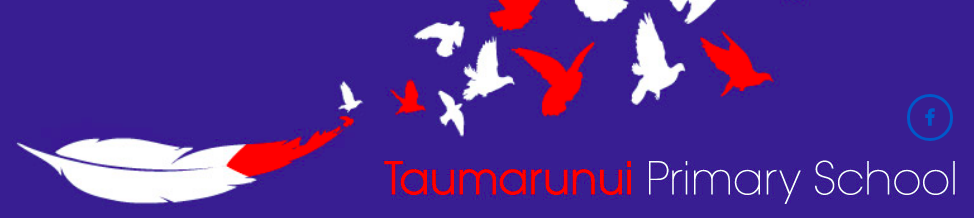 Taumarunui Youth and Community Trust - Interschool Sports