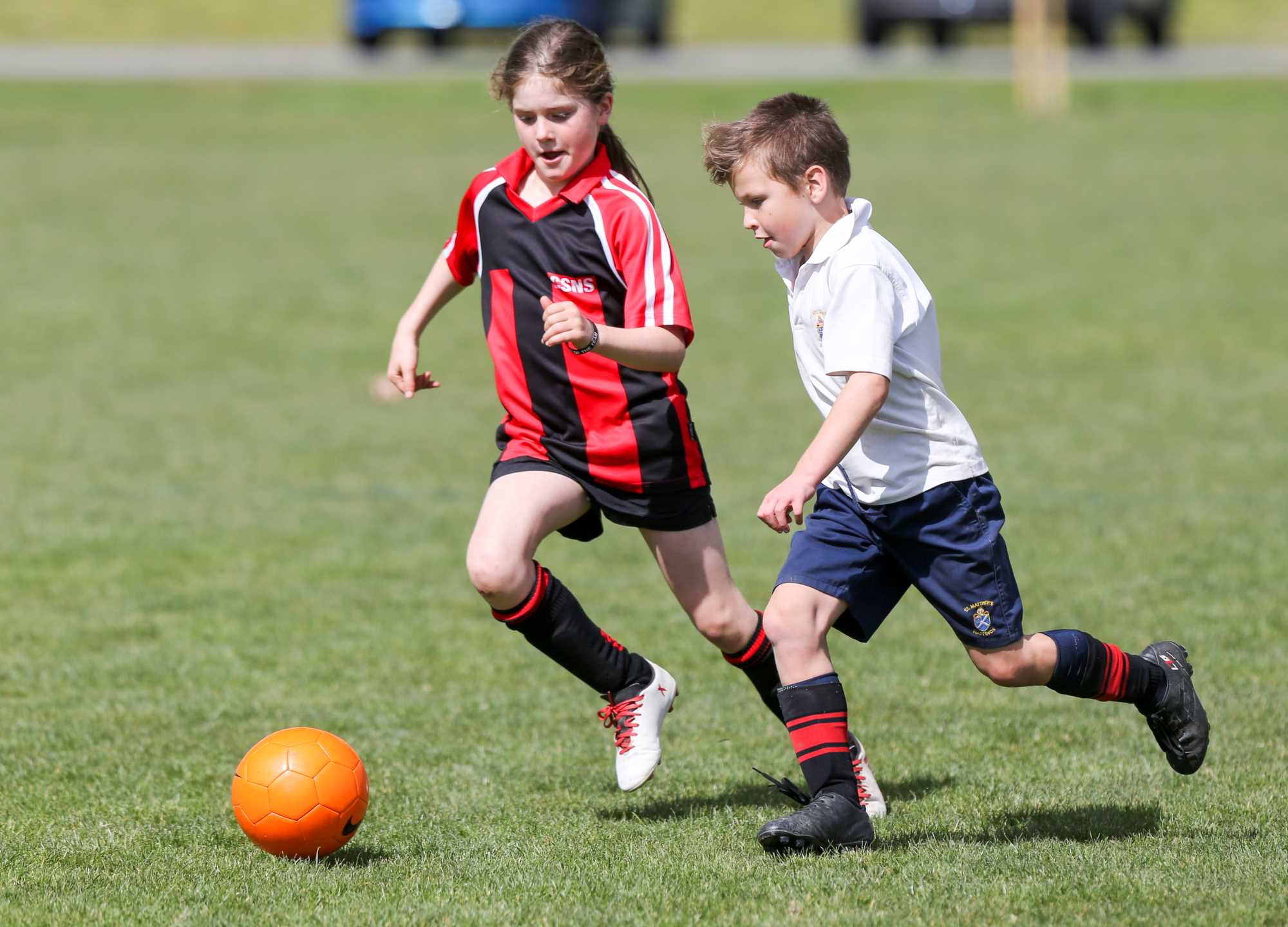 NZF membership fees reduced