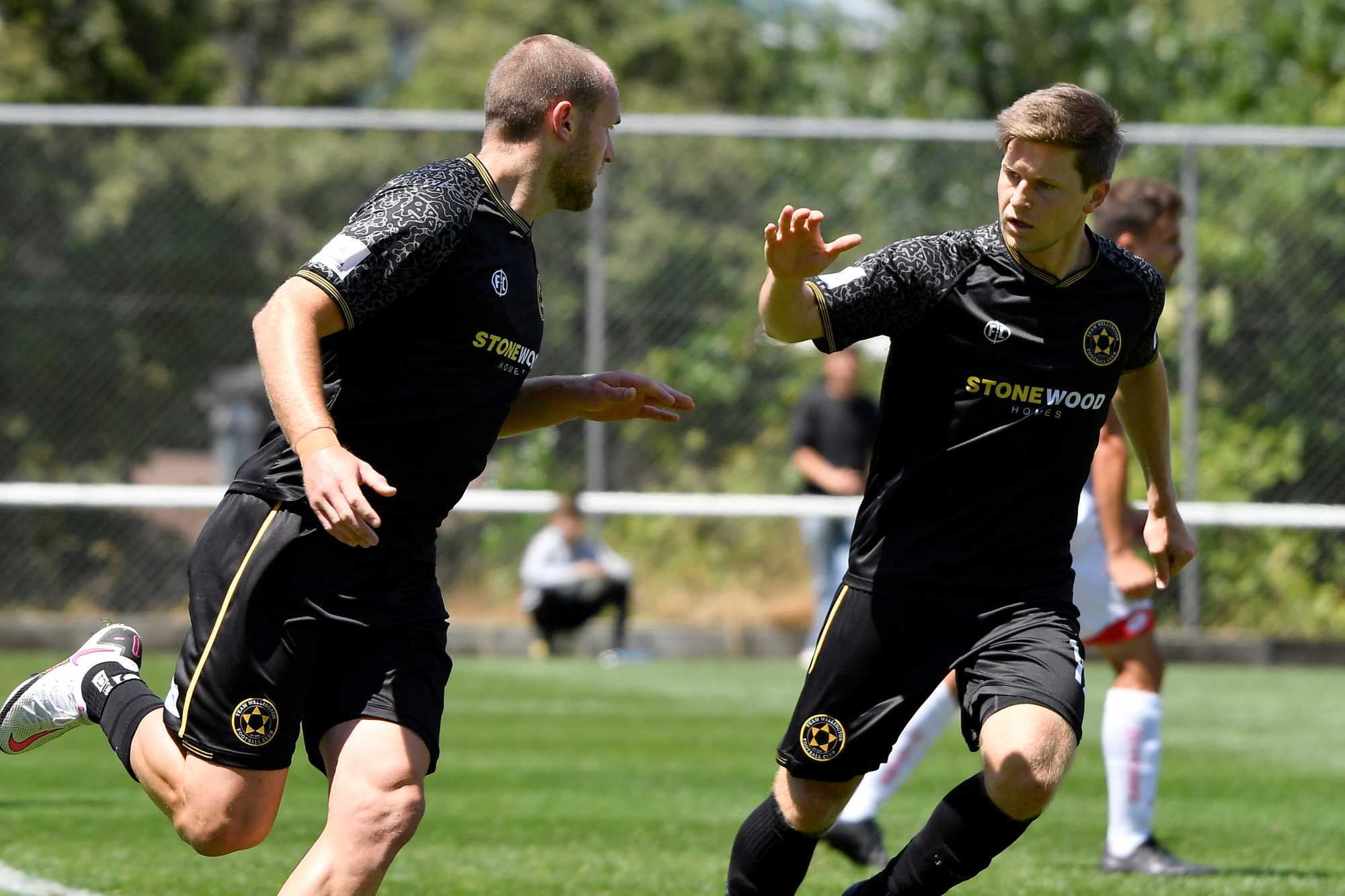 Team Wellington v Hamilton Wanderers – ISPS Handa Men’s Premiership MW 14