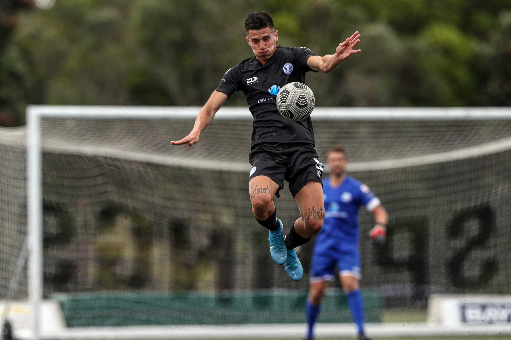 Hamilton Wanderers vs Eastern Suburbs - ISPS Handa Men's Premiership ...