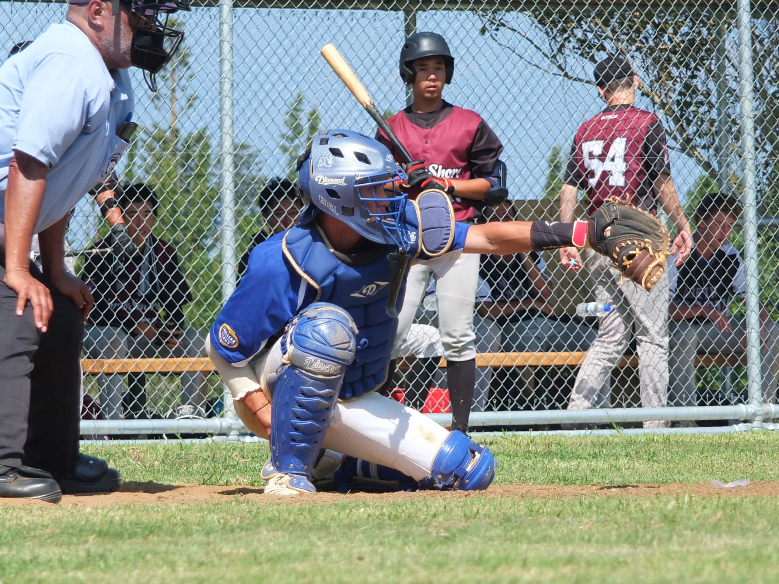 Auckland Baseball Association - Coaching