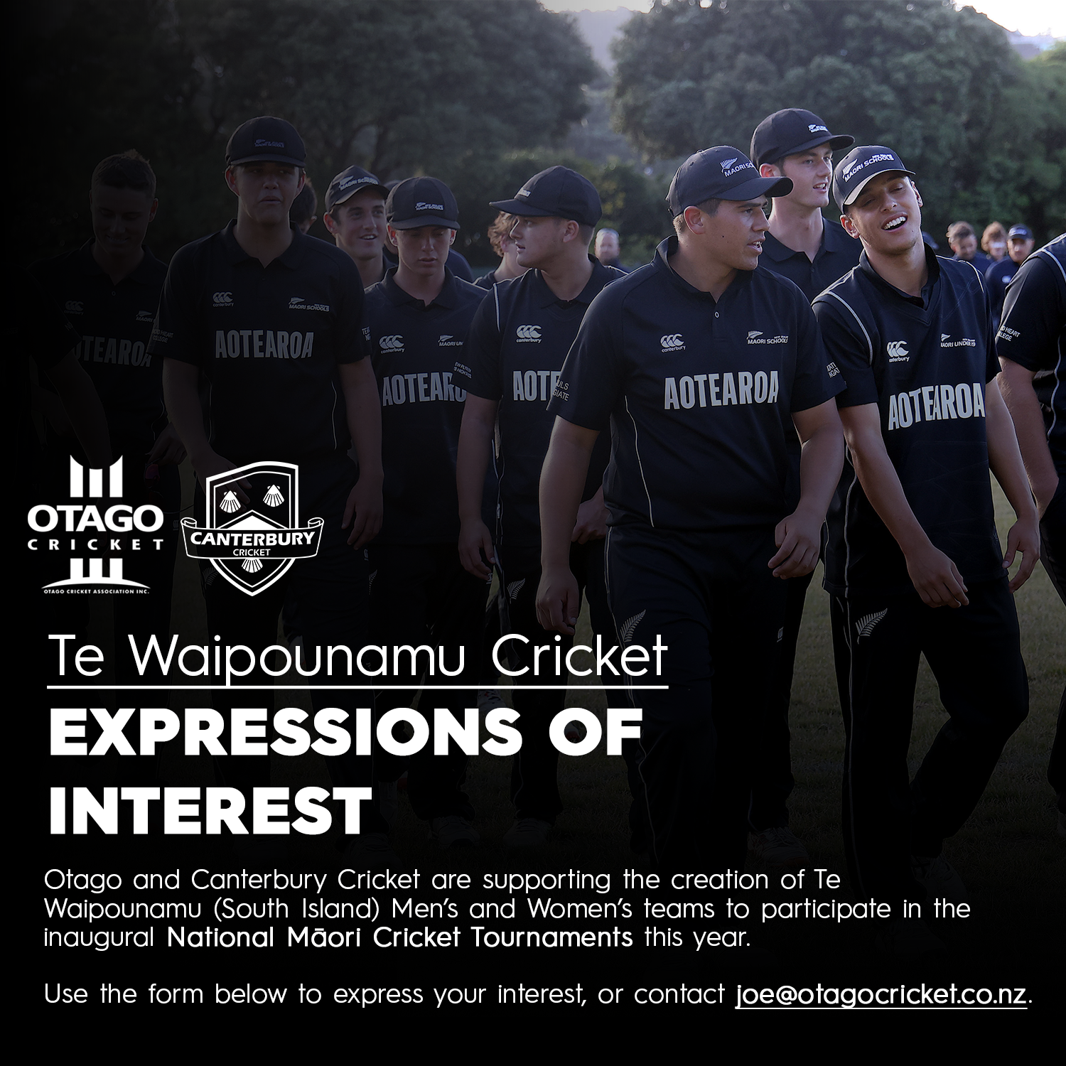 TE WAIPOUNAMU CRICKET TEAMS