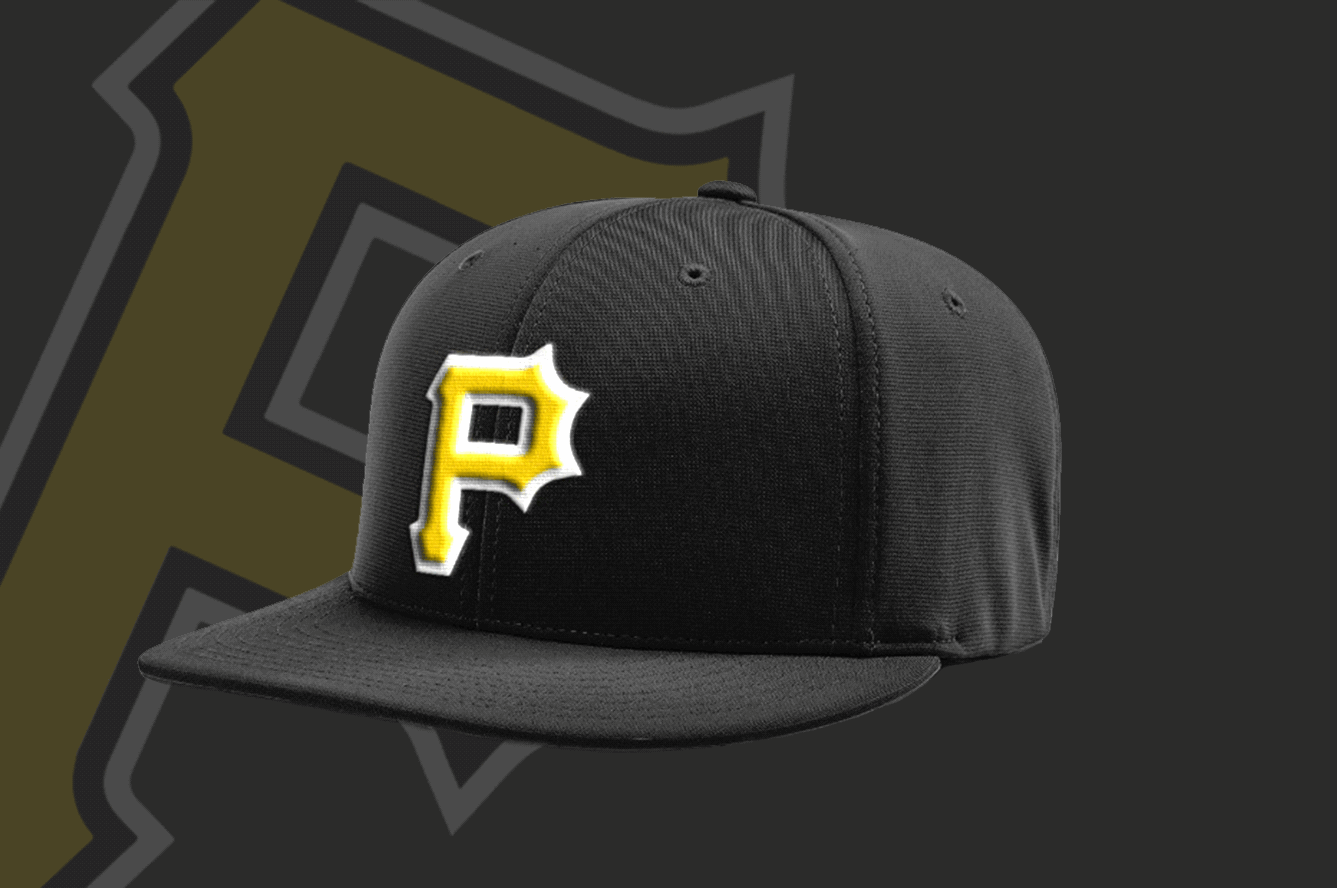 SPECIAL OFFER ~ RICHARDSON FITTED CAP