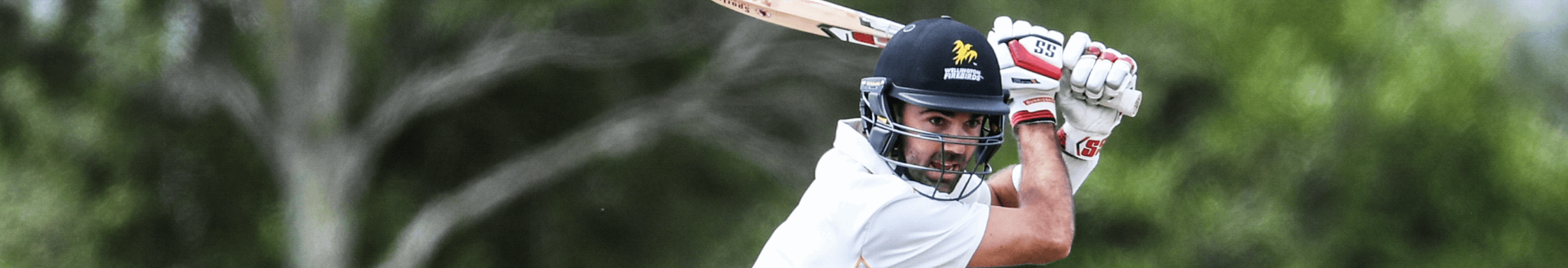 Cricket Wellington - Troy Johnson