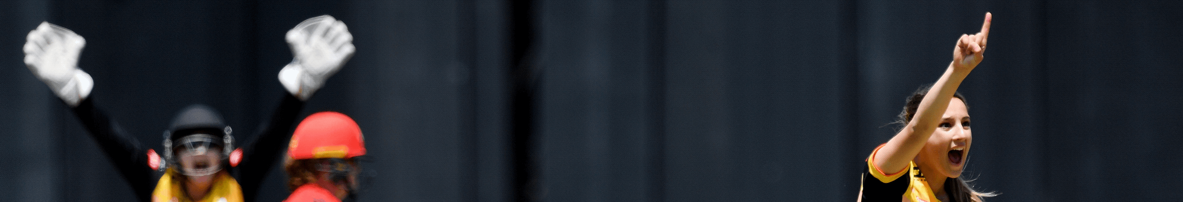 Cricket Wellington - Xara Jetly