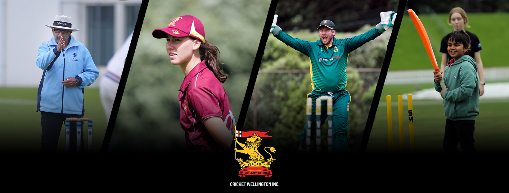 Cricket Wellington - Official Website