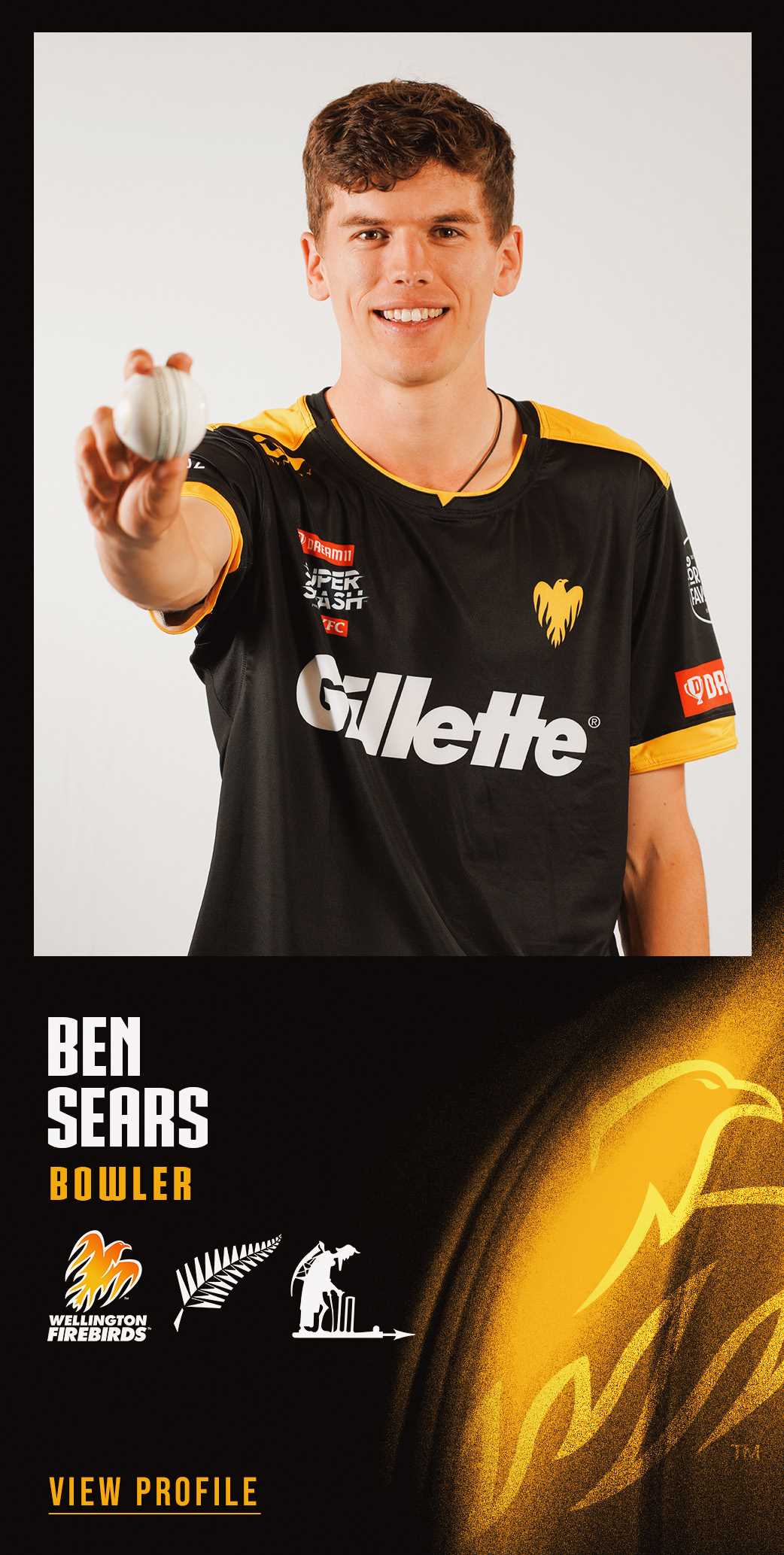 Cricket Wellington - Players