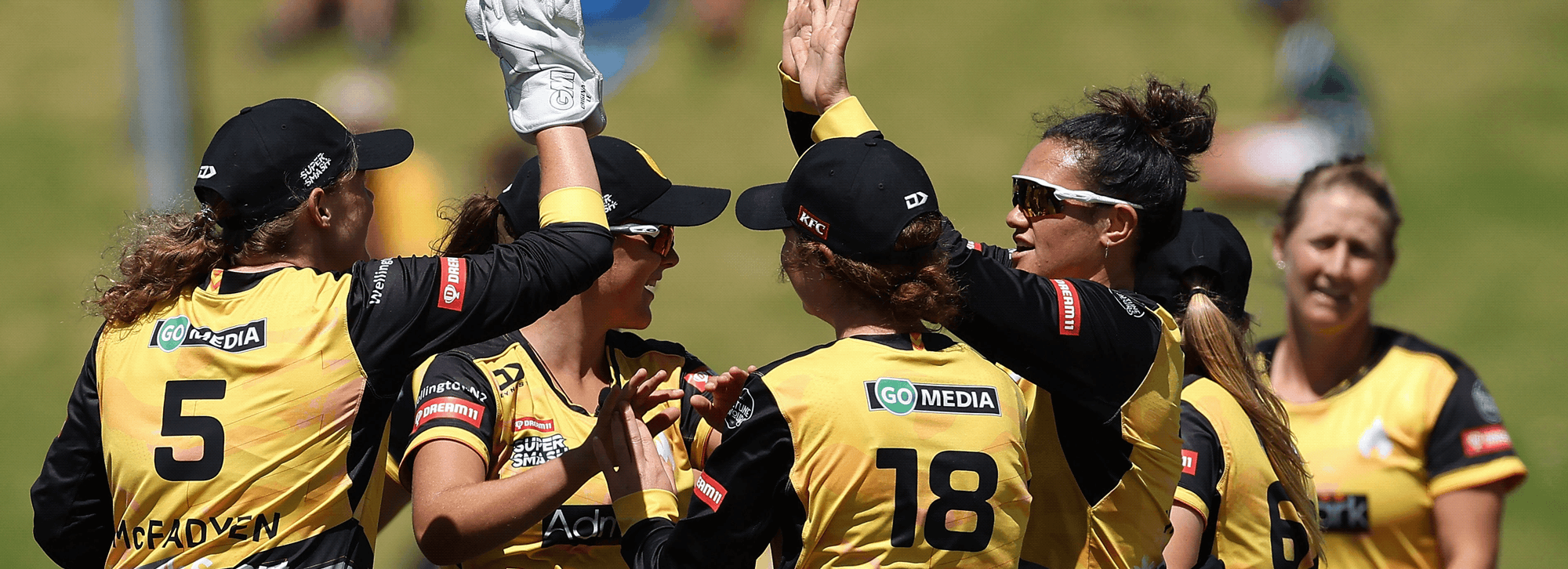 Cricket Wellington introduces new high-performance coaching model