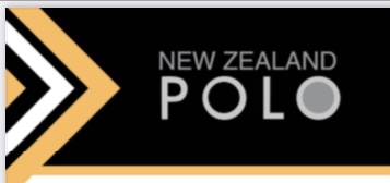 NZPA Interim GM - 27/1/23