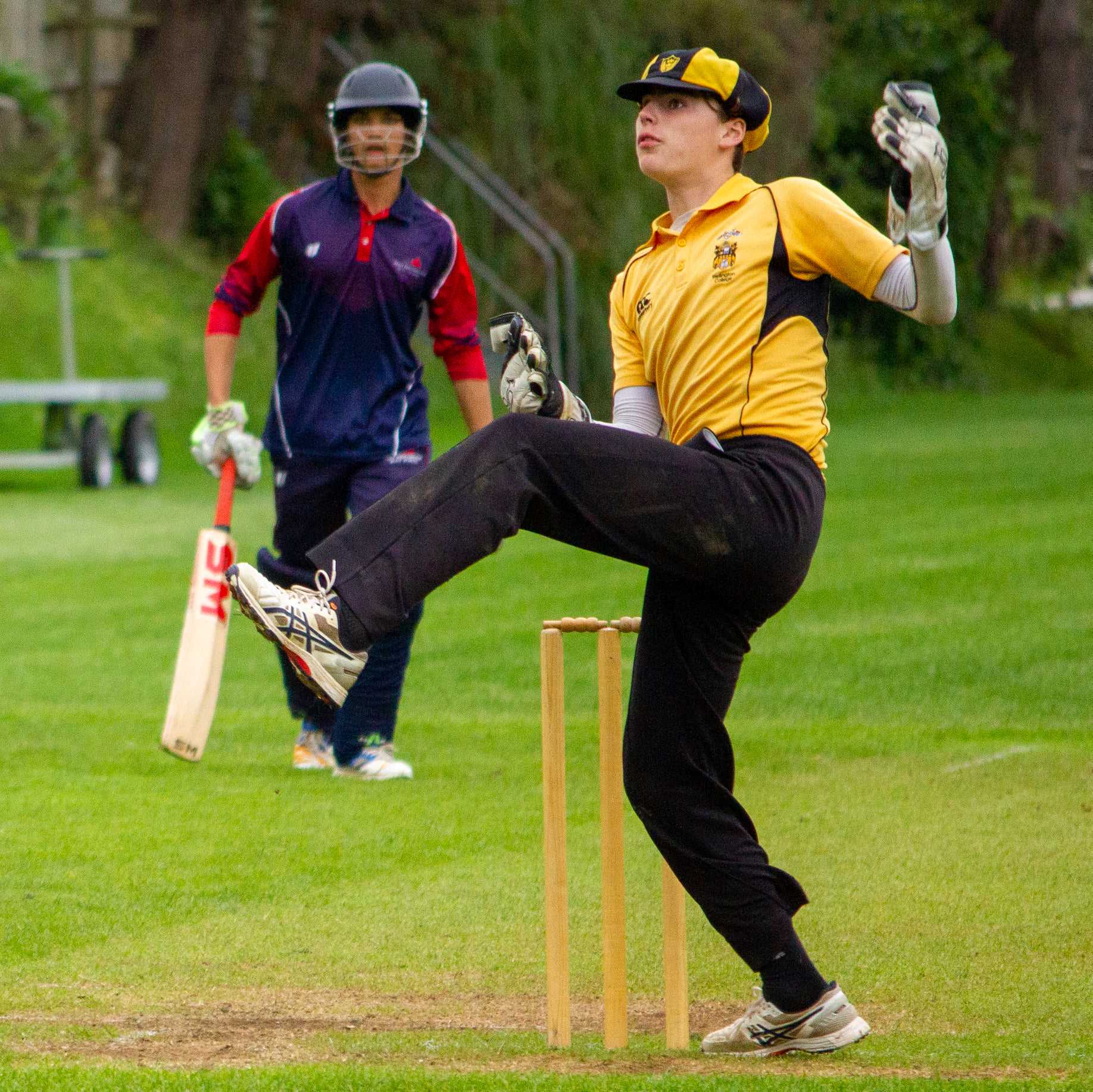 Wellington College Cricket - Home