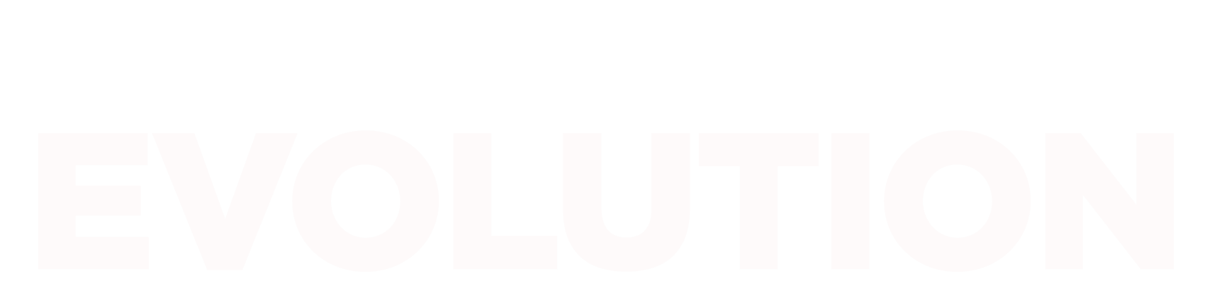 Evolution Creative - EVOLUTION CREATIVE CAN HELP YOUR BUSINESS WITH