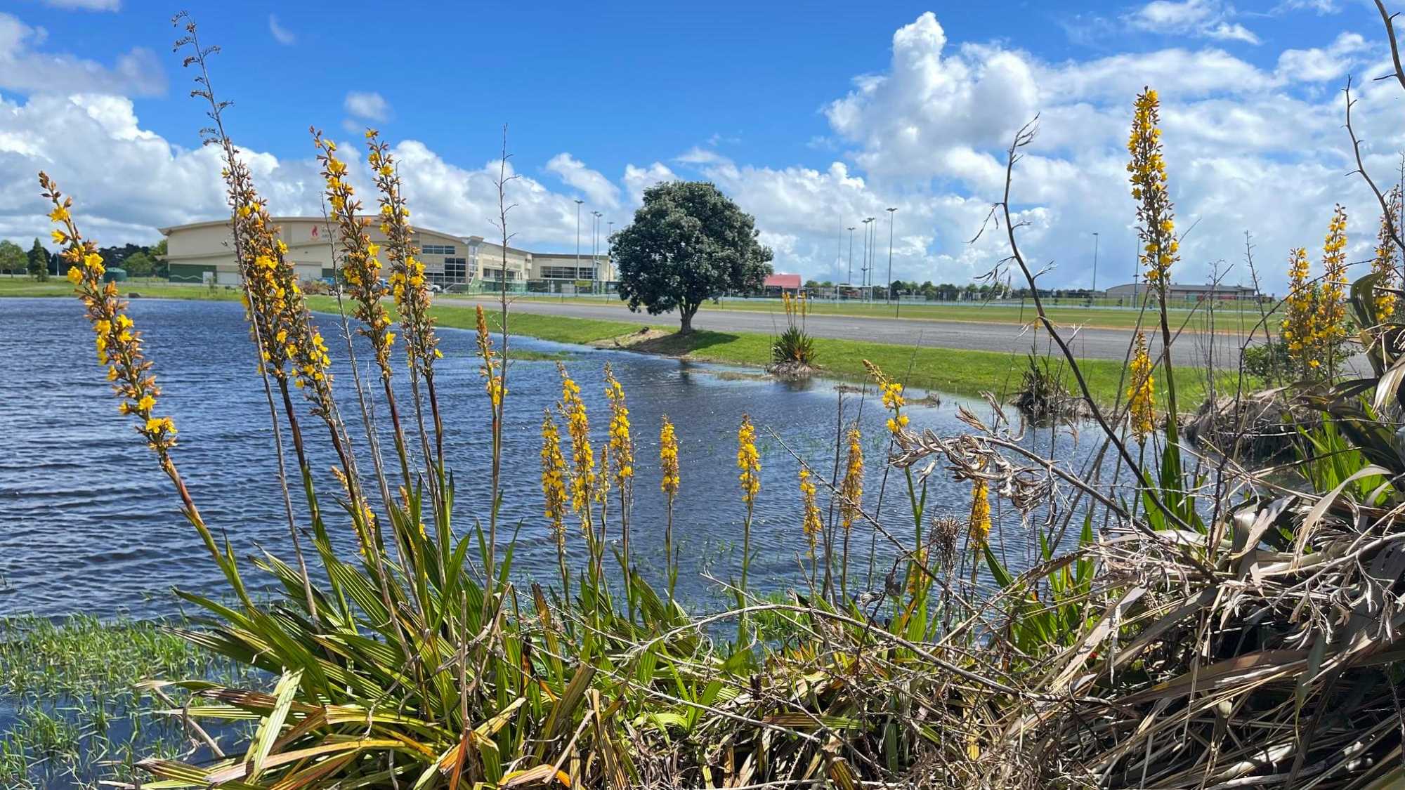 BRUCE PULMAN PARK CHRISTMAS CLOSEDOWN PERIODS