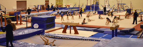 TERM 3 GYMNASTICS OPEN