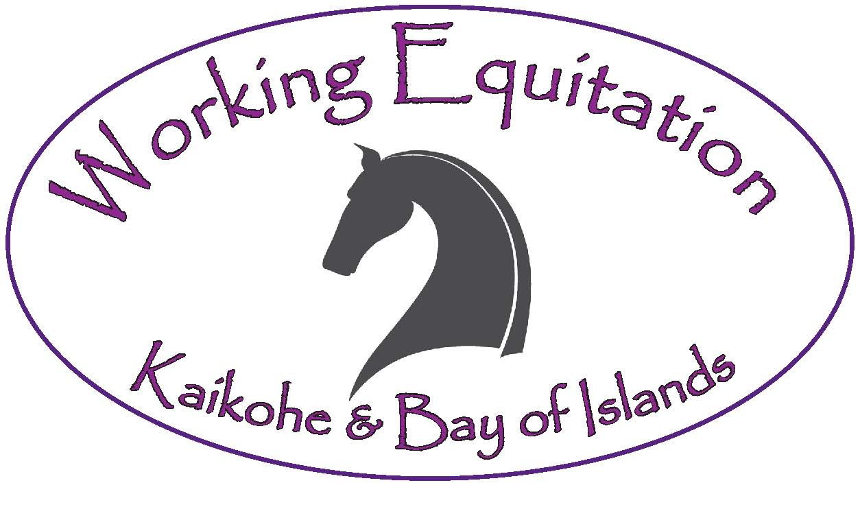 Working Equitation Kaikohe & BOI - Home