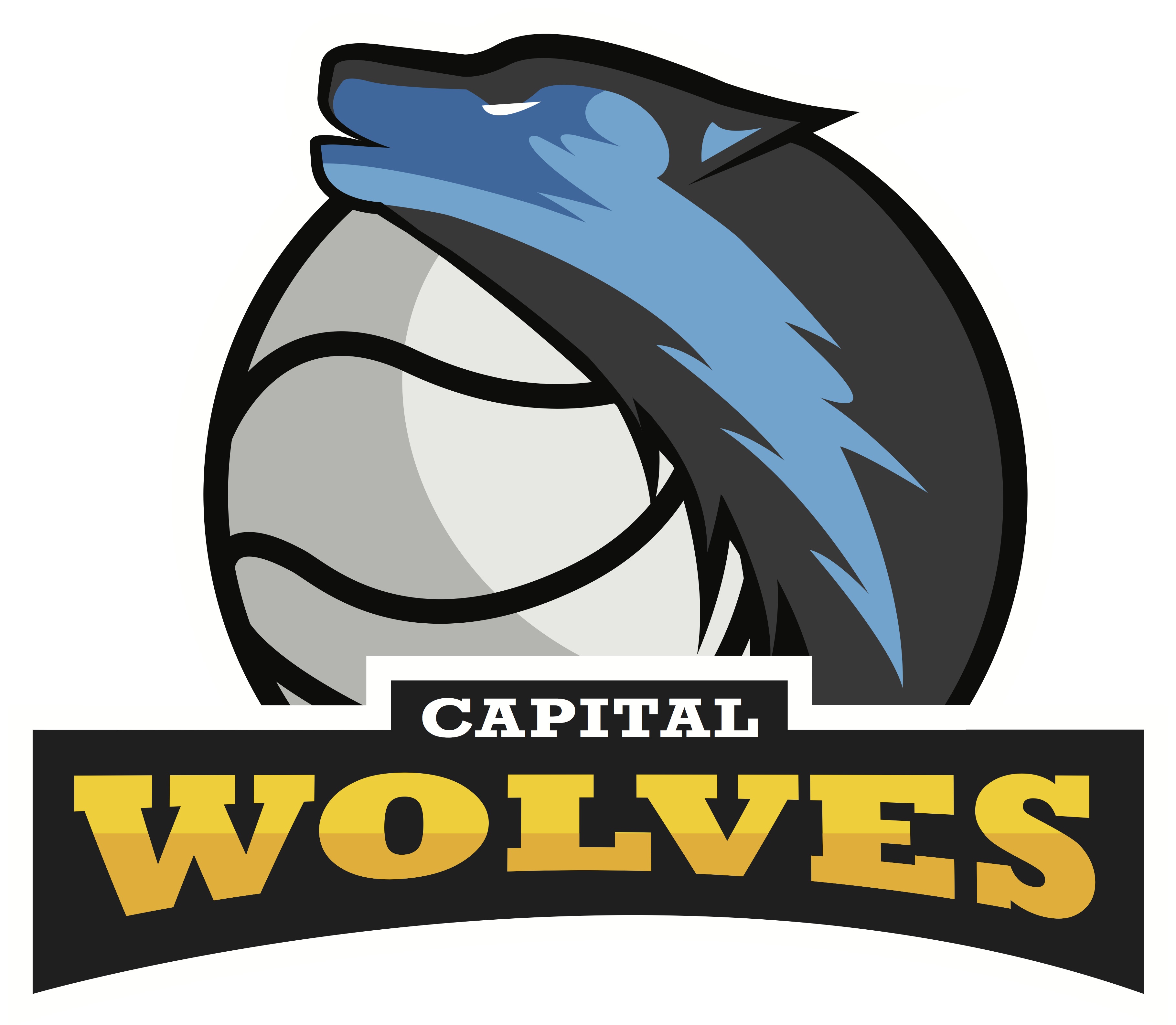 Capital City Wolves Volleyball Club - Home