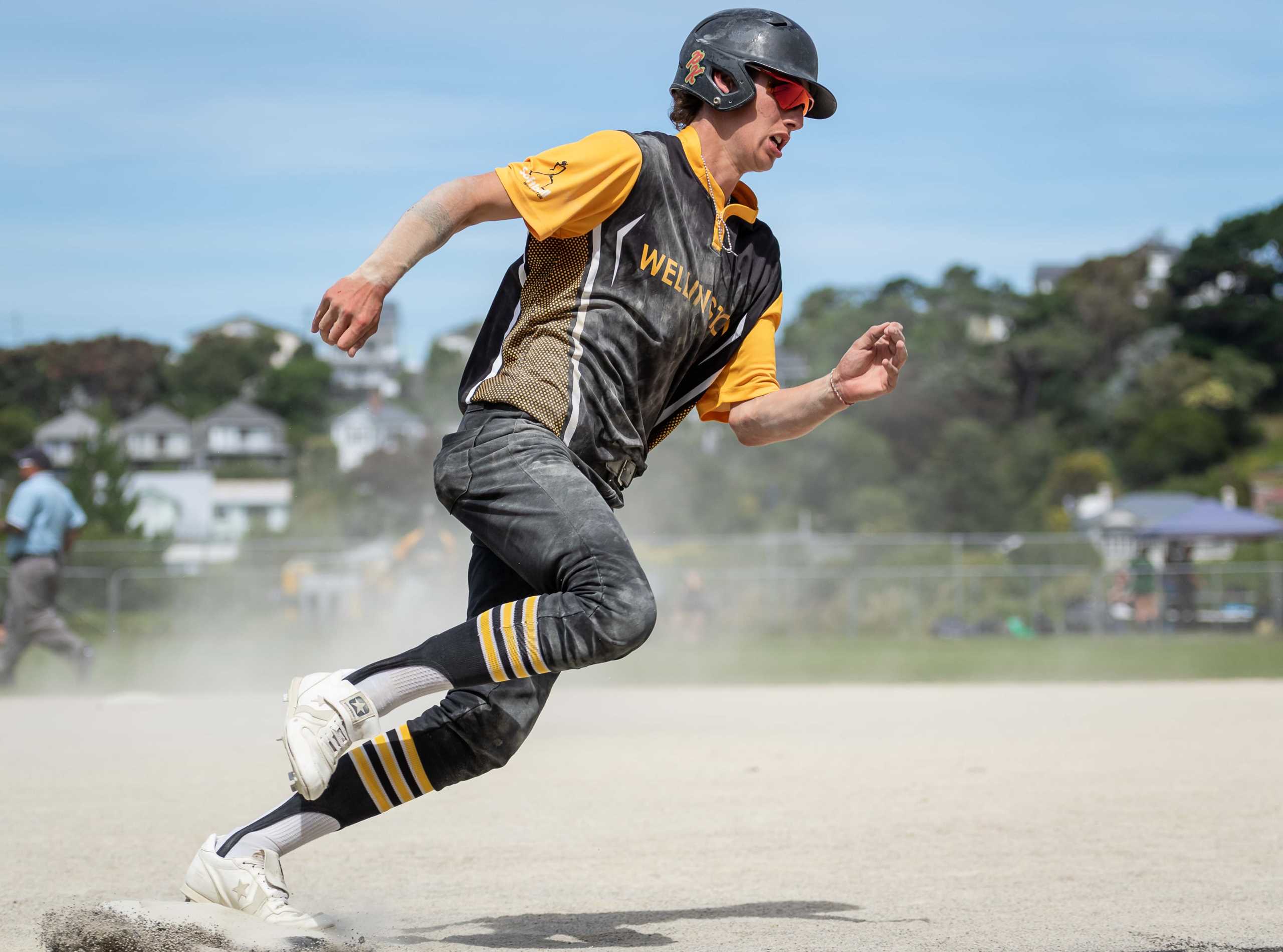 Wellington Softball Association - WSA Regional Development Camps