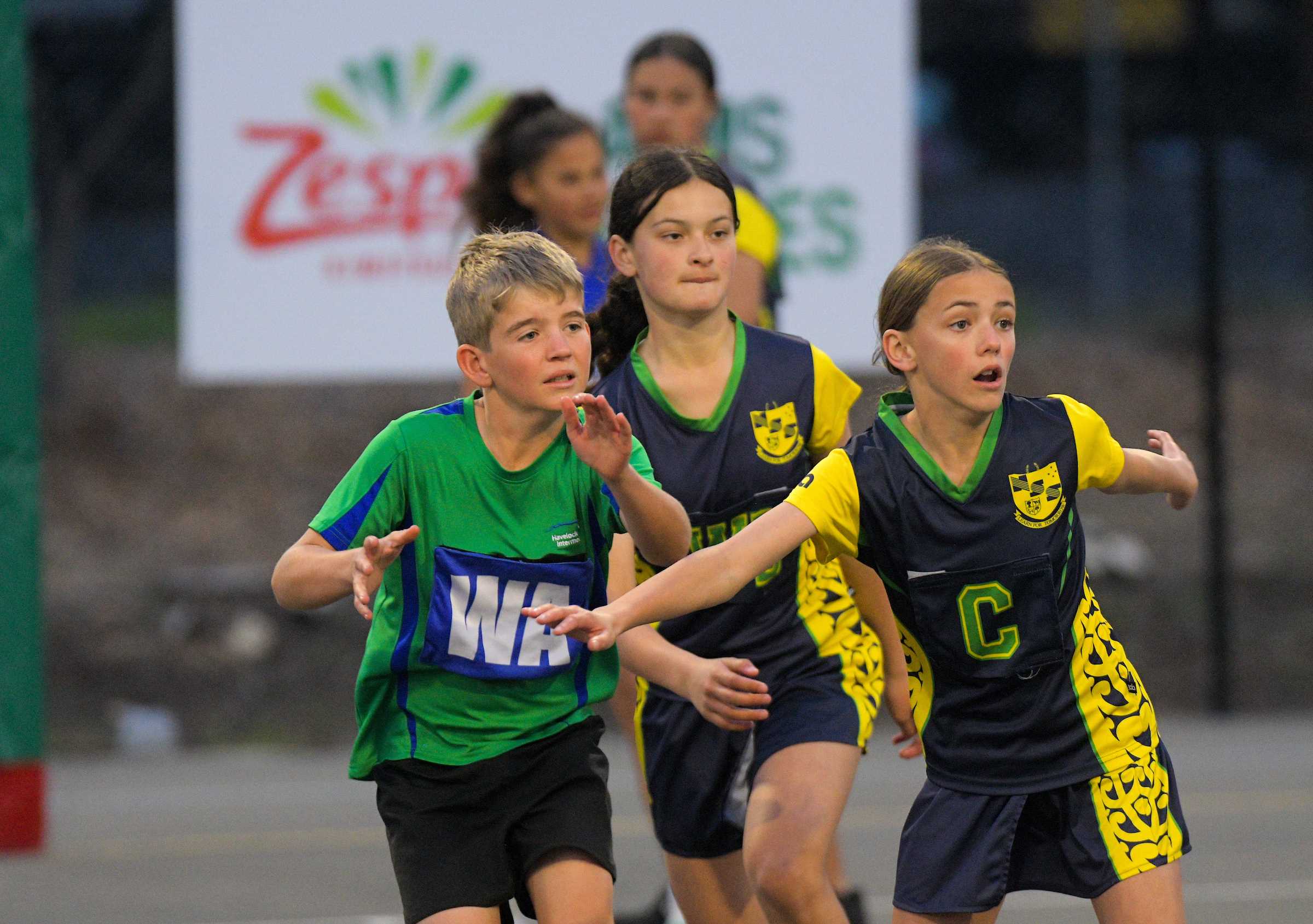 AIMS Games - NZAIMS Subscription