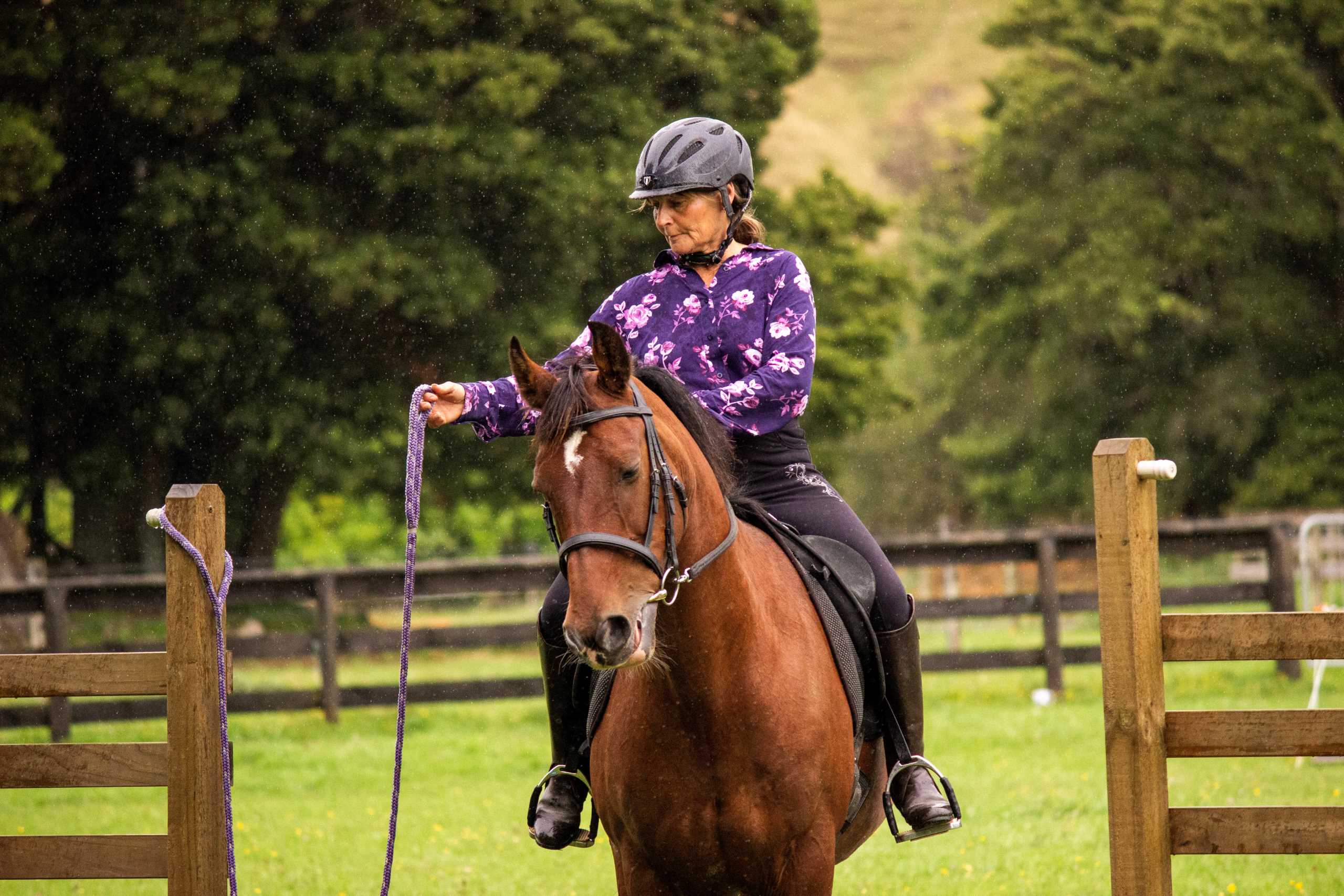 Kapiti Working Equitation Group - Home