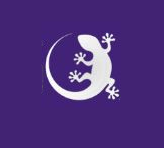 Goannas Netball Club - Home