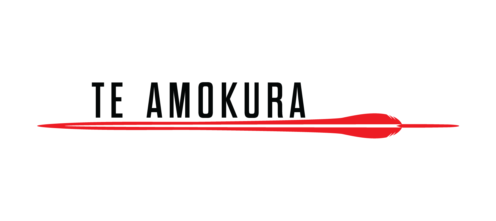 Te Amokura Netball Club -Te Amokura Netball Club