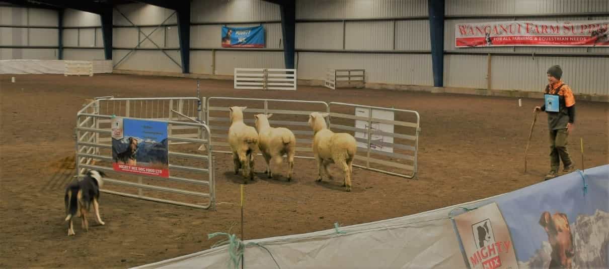 Taranaki Indoor Sheepdog Trial Club - Competitor Information