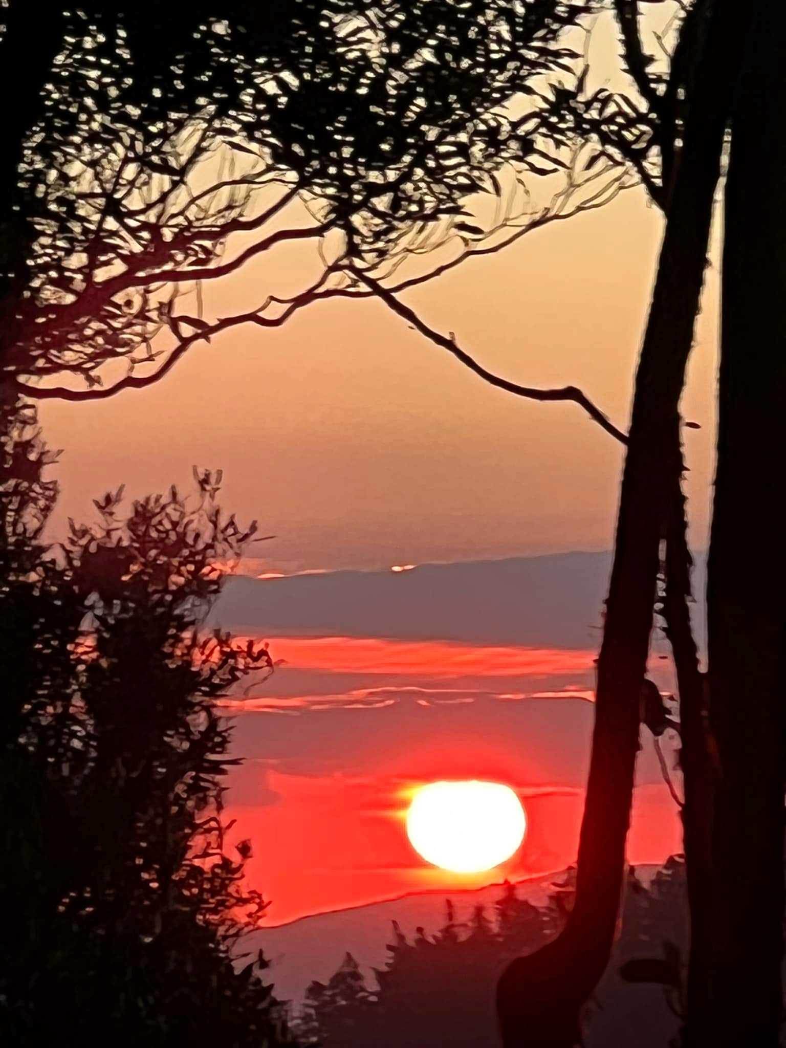 Kaimai Ridgeway - Home