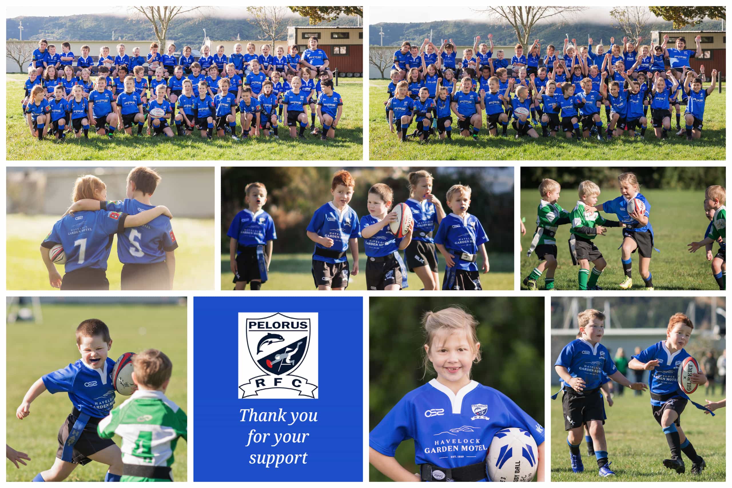 Pelorus Rugby Club - Jnr Rugby Info