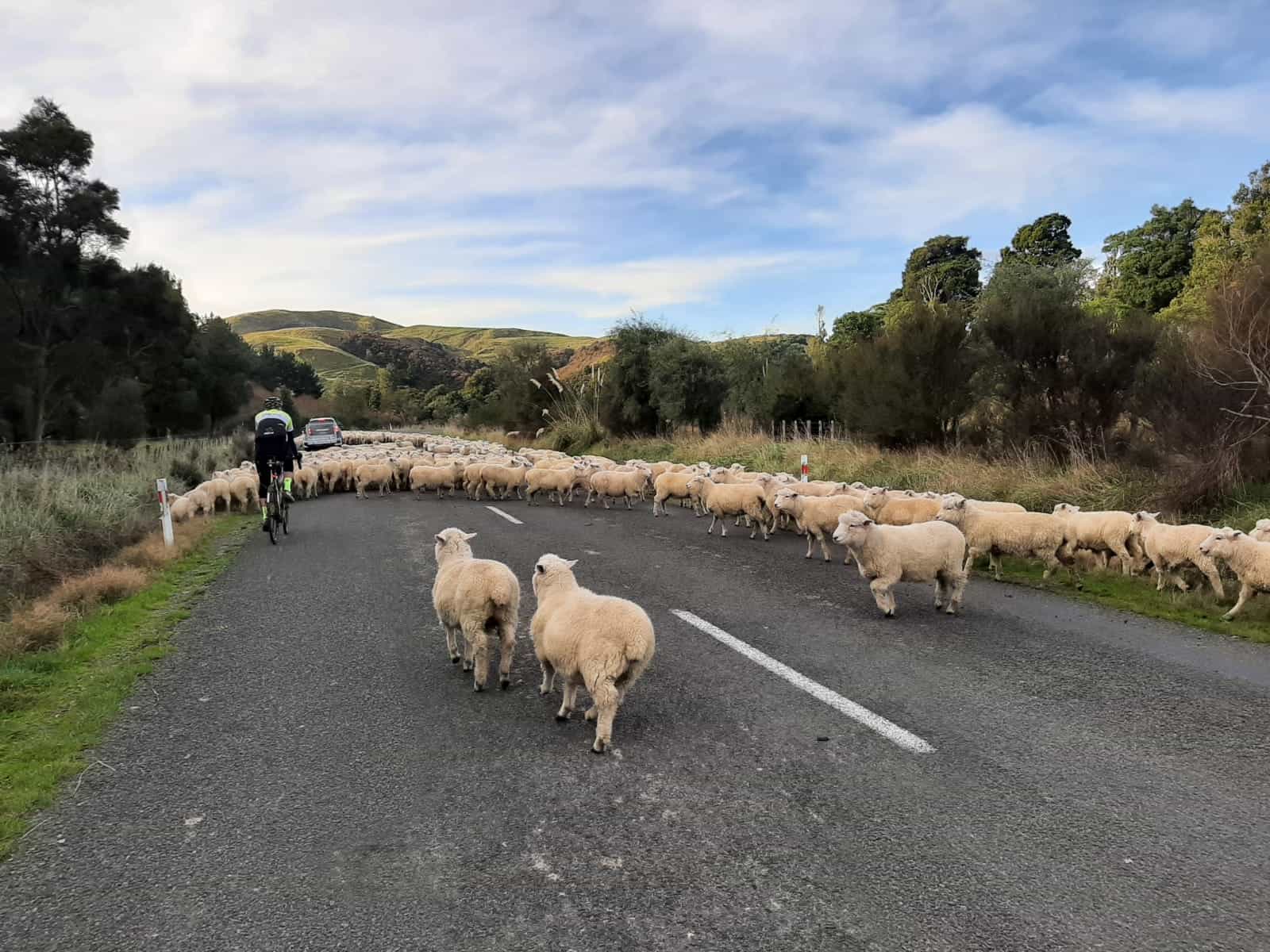 Eketahuna Dash 200 May 13