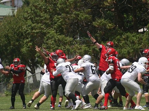 Papatoetoe Wildcats - Home