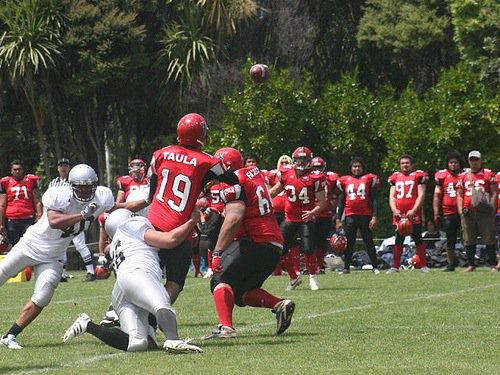 Papatoetoe Wildcats - Home