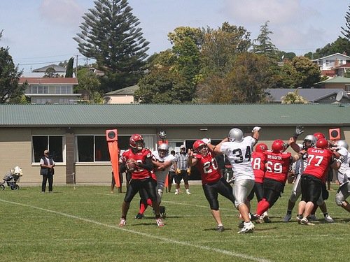 Papatoetoe Wildcats - Home