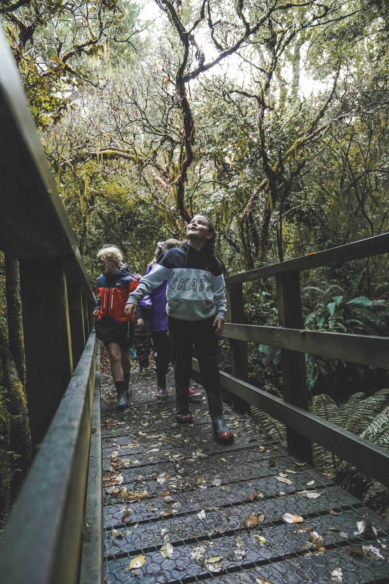 Active Southland - Logo / Brand Story
