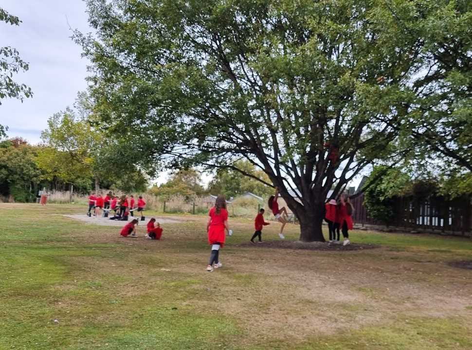 Community play project gathering steam in East Gore